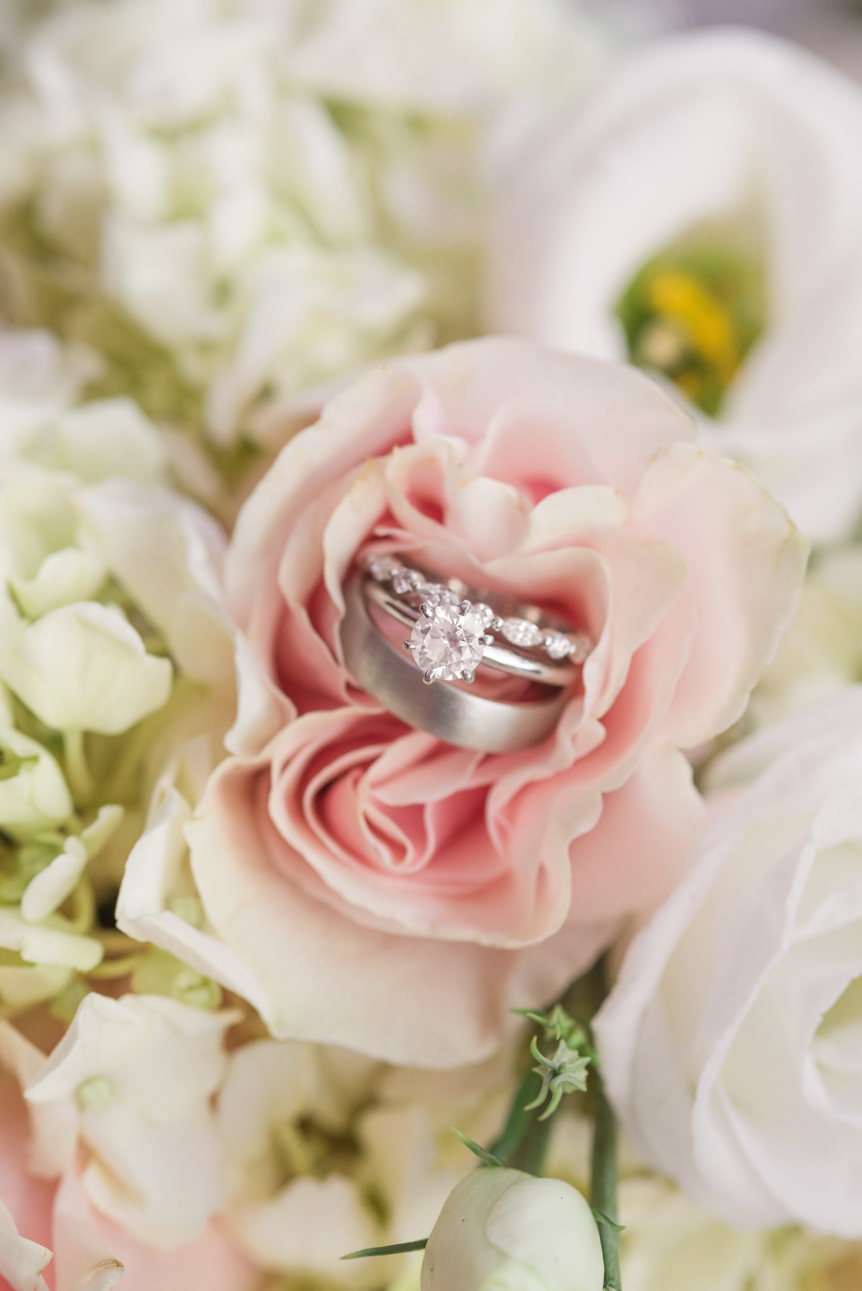 Blog - Lydia Teague Photography